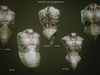DEMON TORSOS 43 meshes with blendshapes 3D model | CGTrader