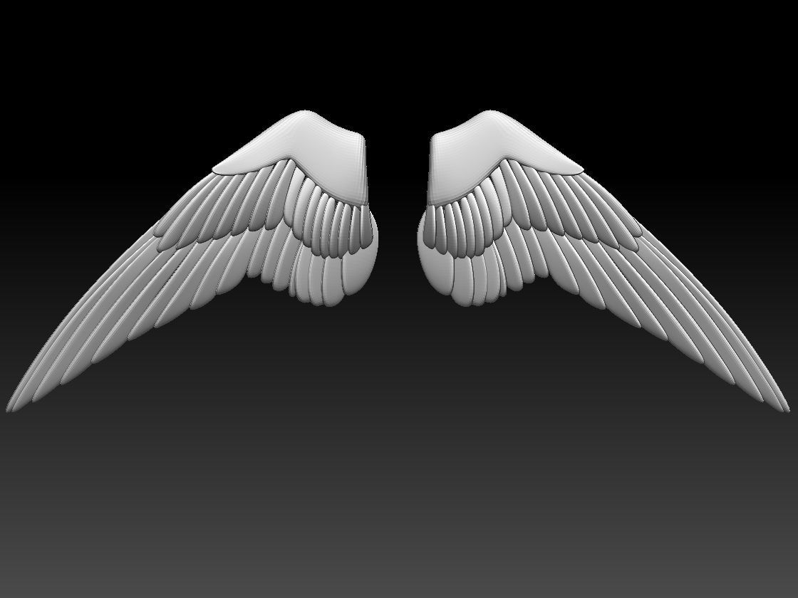 wings 3D model 3D printable | CGTrader