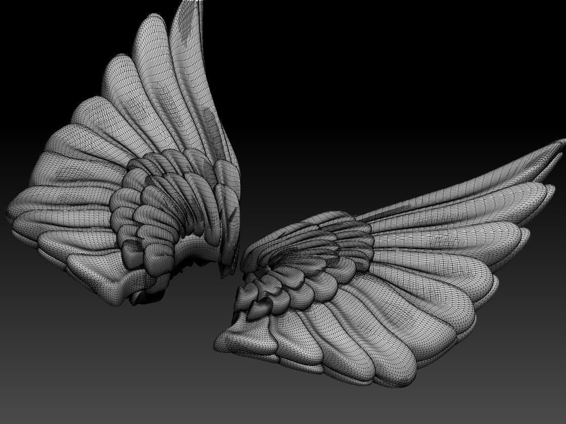 wings colorful feather 3D model 3D printable | CGTrader
