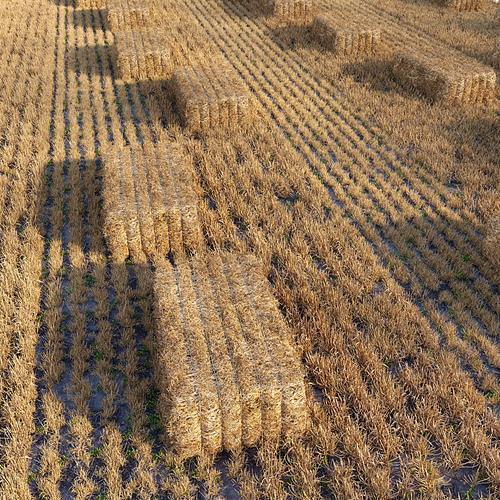 Farm field with hay bale 2 3D model | CGTrader