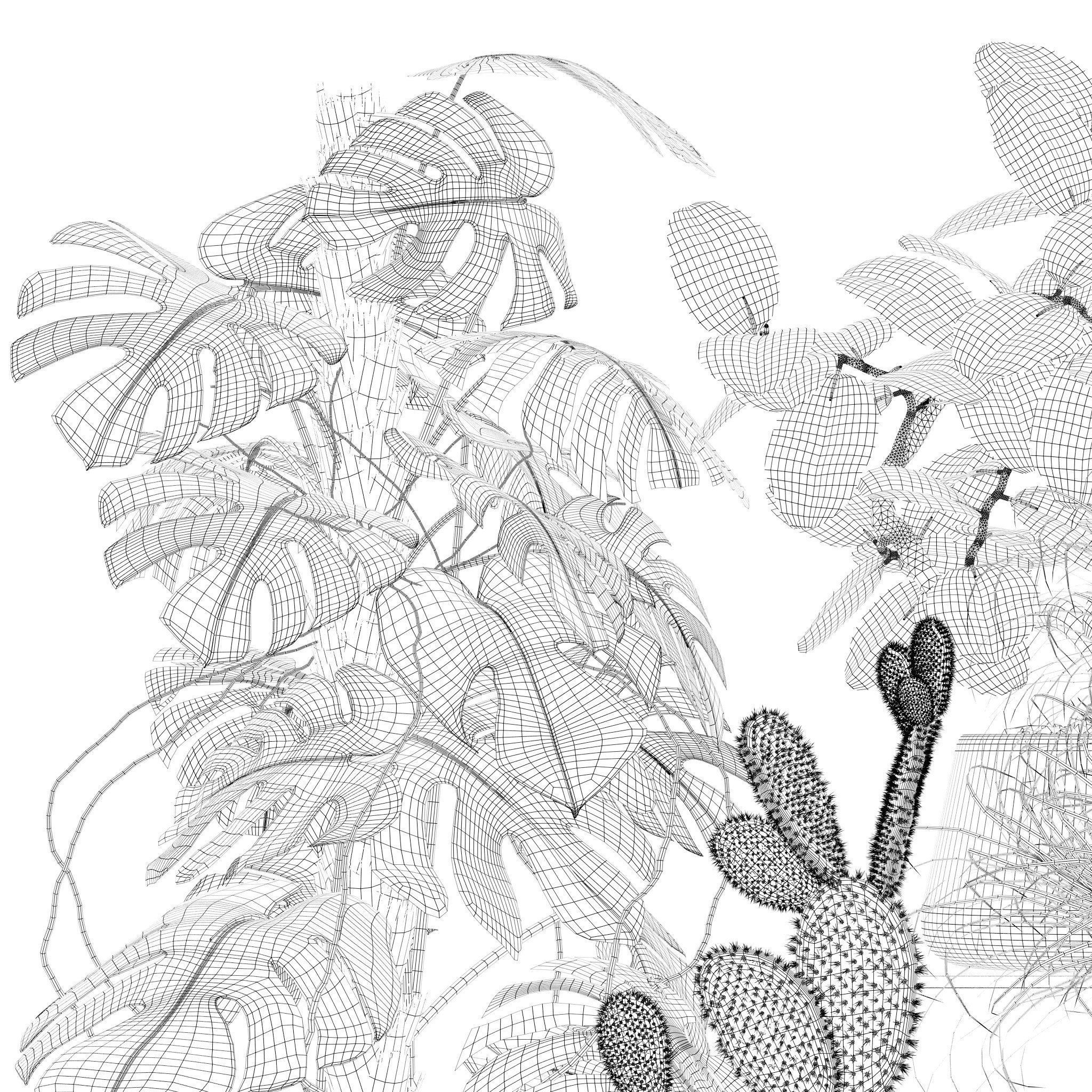 Plants collection 131 3D model | CGTrader