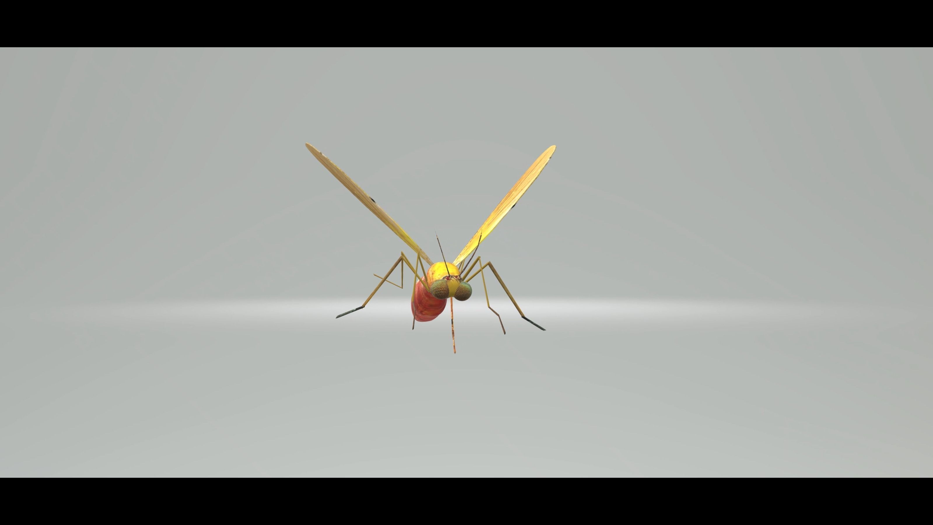 Mosquito Blood Sucked Culex ready yo fly 3D model | CGTrader