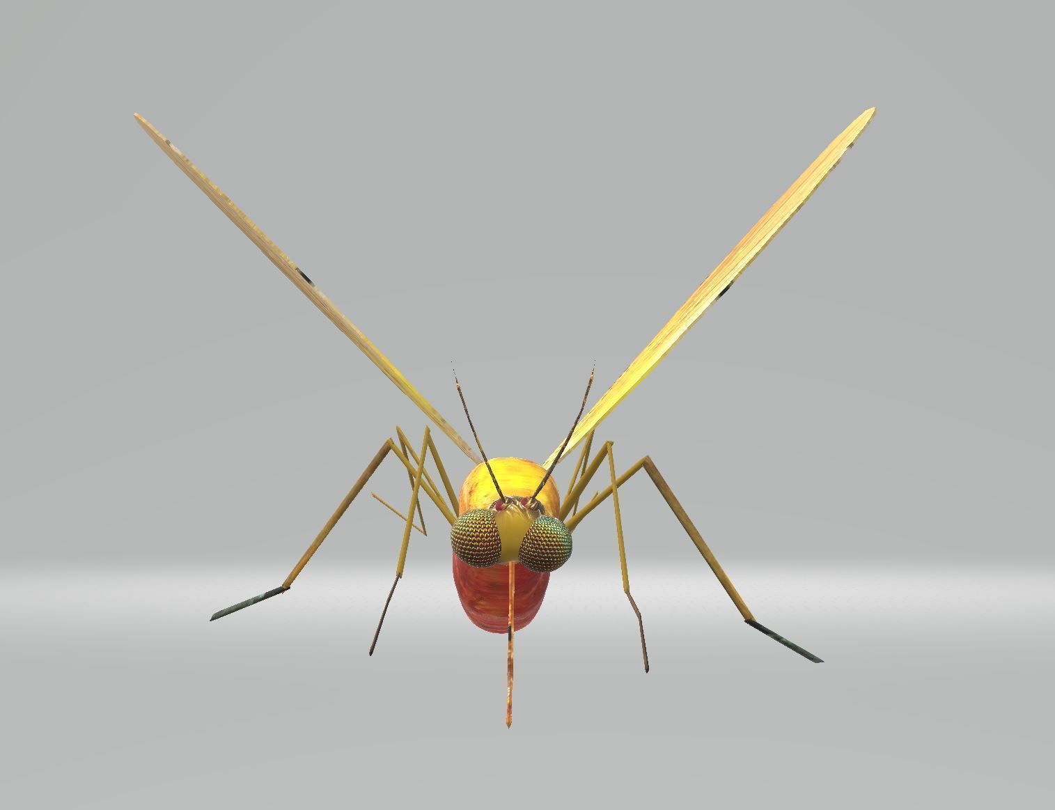 Mosquito Blood Sucked Culex ready yo fly 3D model | CGTrader