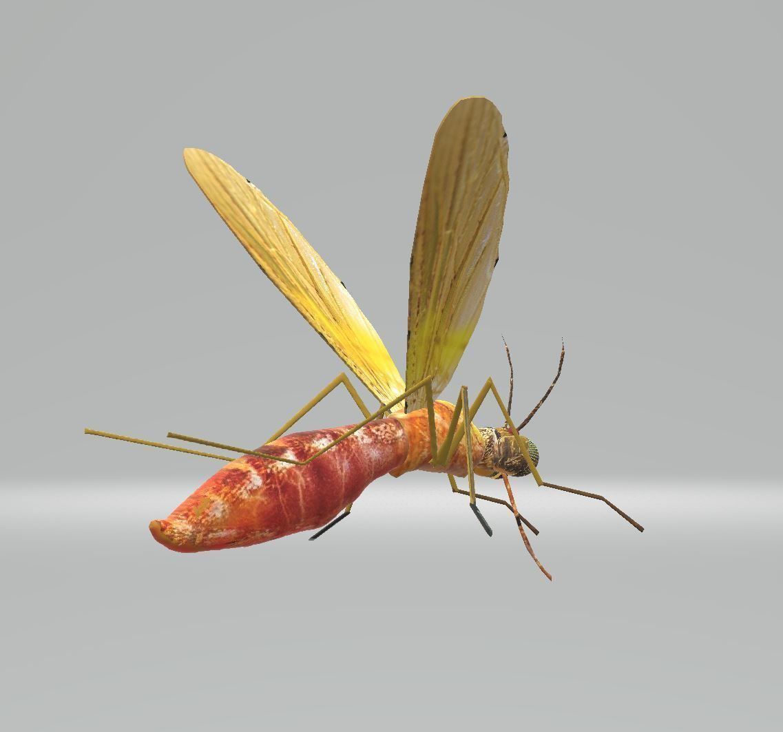 Mosquito Blood Sucked Culex ready yo fly 3D model | CGTrader