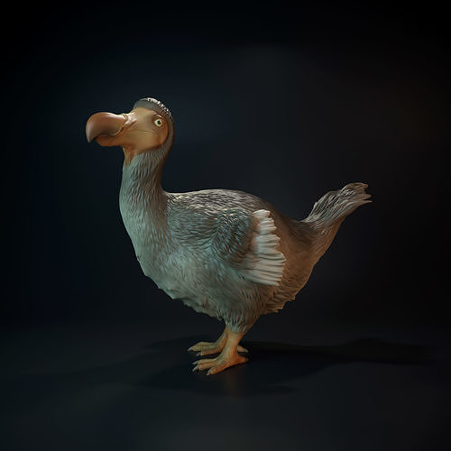 Dodo standing 3D model 3D printable | CGTrader