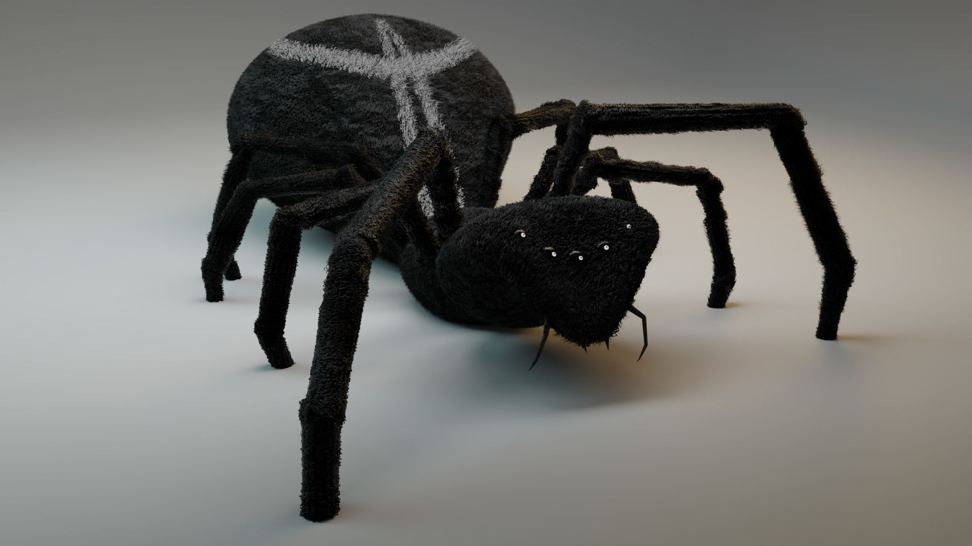Spider 3D model | CGTrader