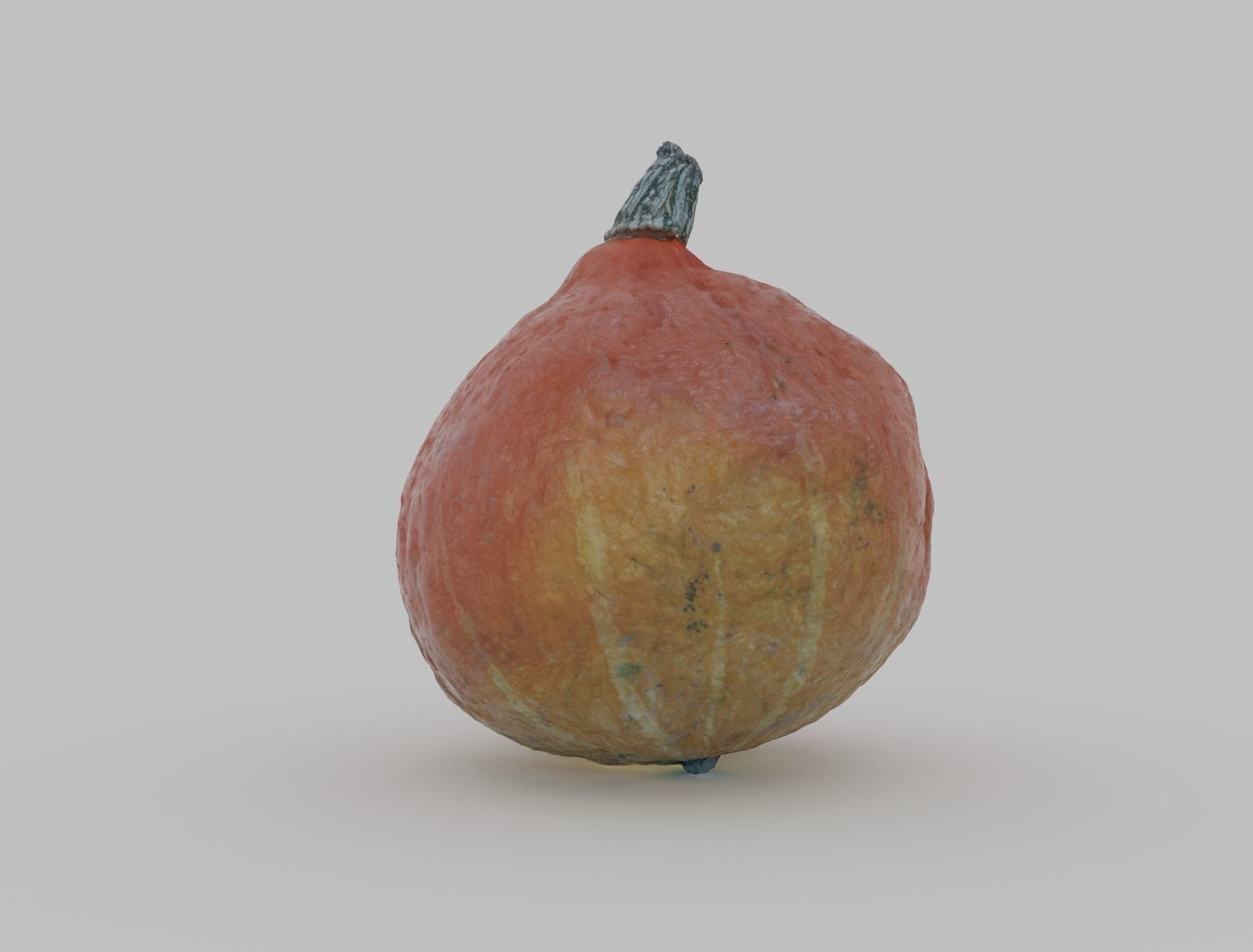 Pumpkin - Hokkaido 3d scan 4k textures 3D model | CGTrader