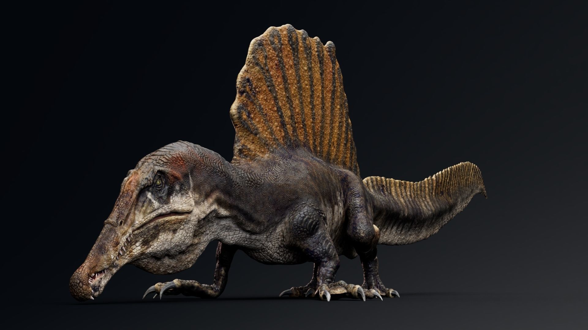 3D model Spinosaurus 2020 Unreal Engine and Unity Projects VR / AR ...