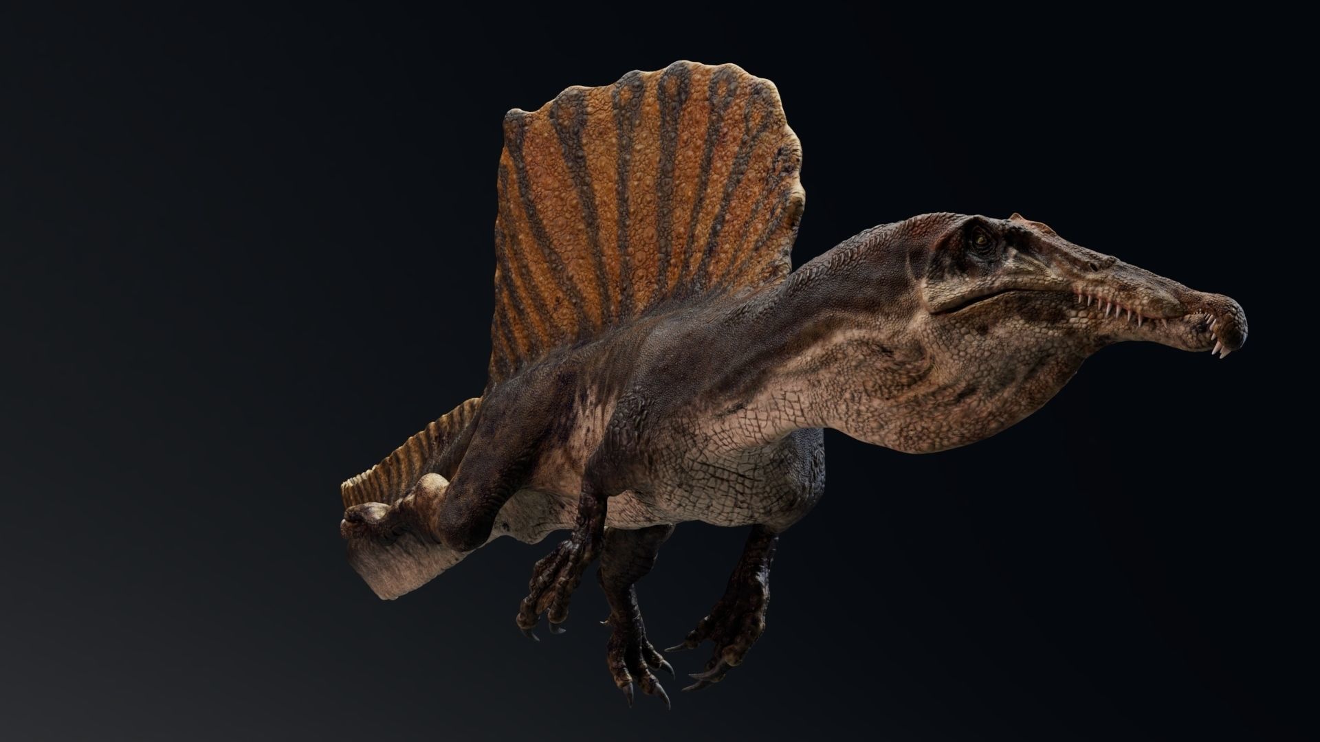 3D model Spinosaurus 2020 Unreal Engine and Unity Projects VR / AR ...