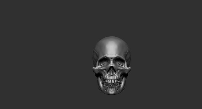 skull 3D model free VR / AR / low-poly 3D model animated | CGTrader