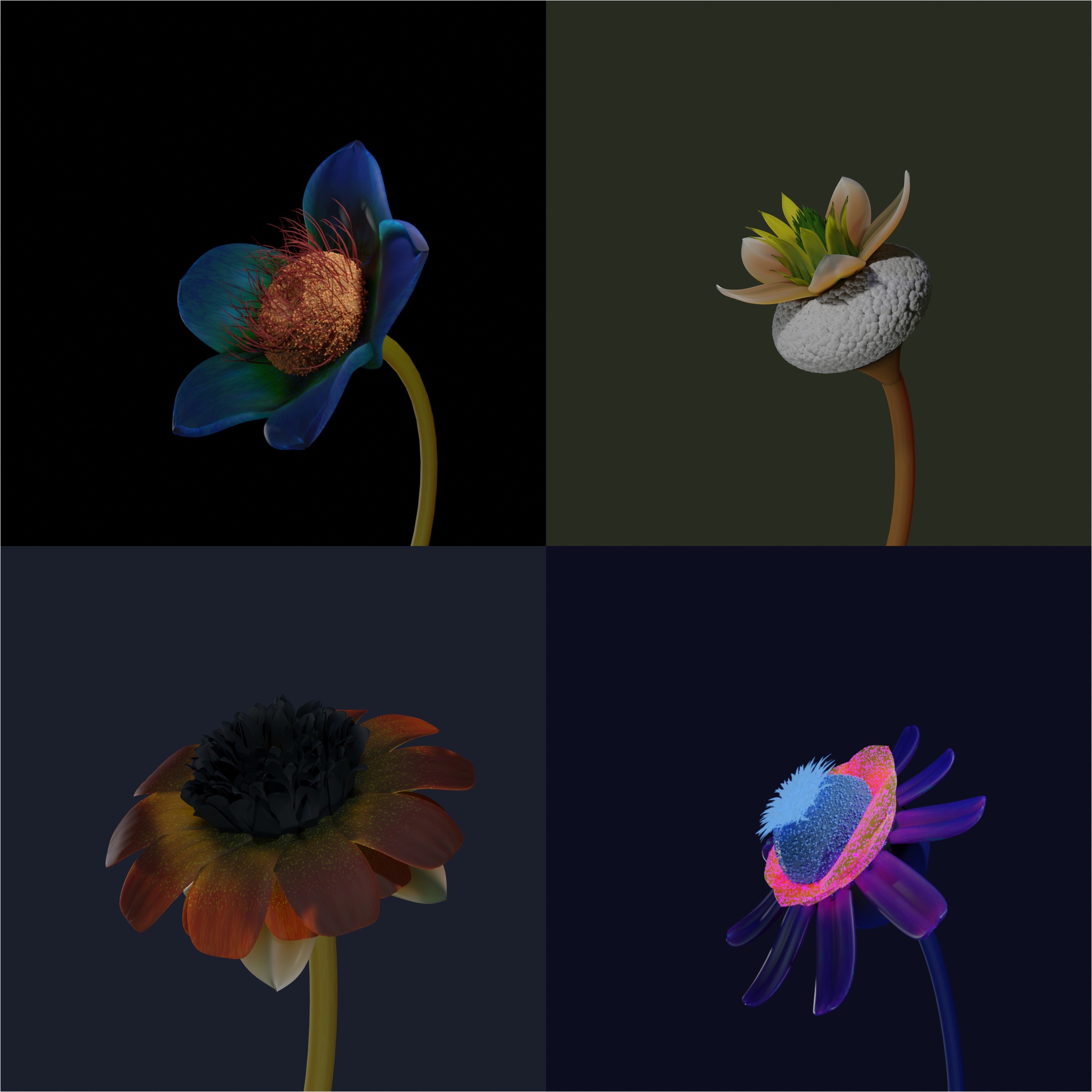 FLOWER CREATOR 3D model rigged | CGTrader