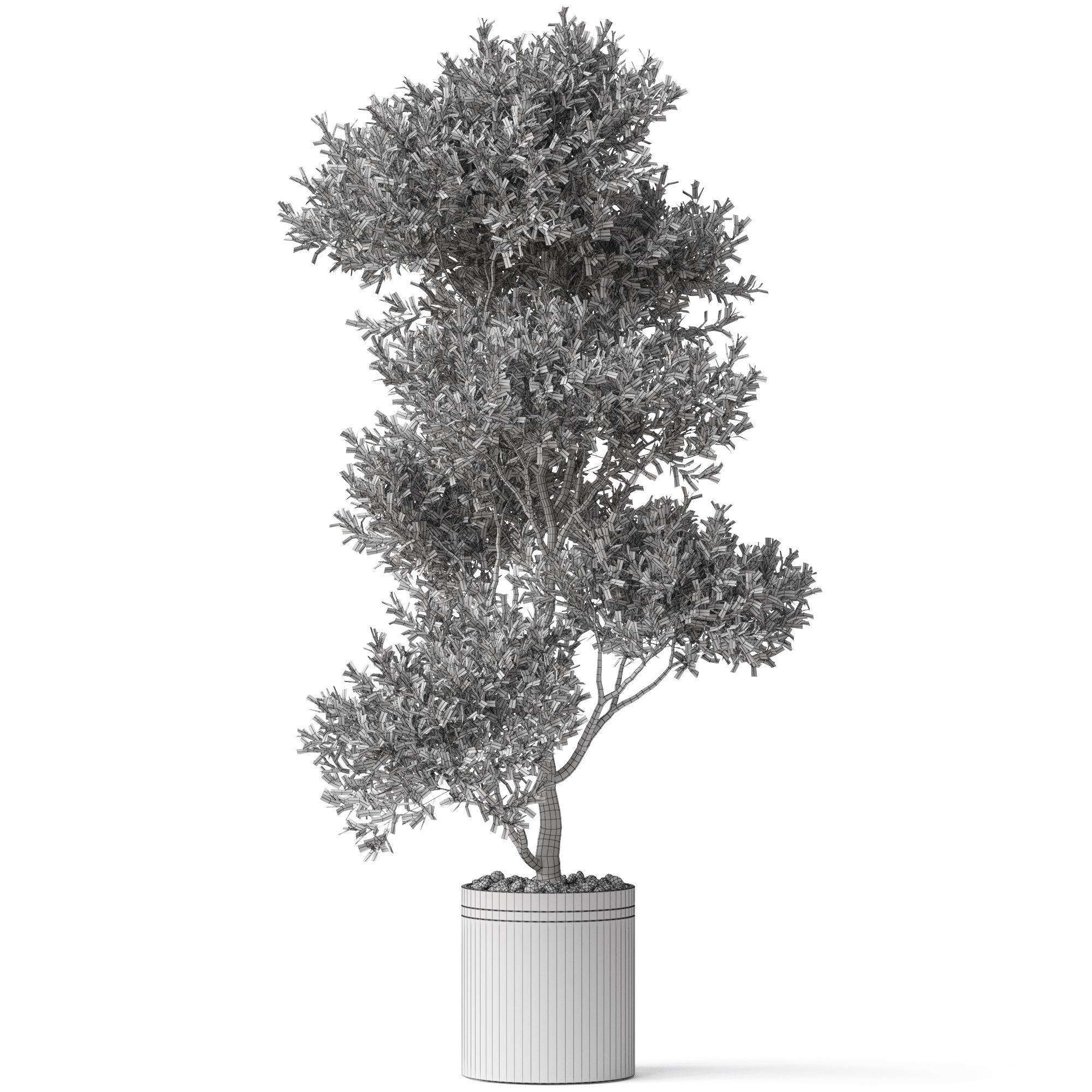 Plants collection 788 3D model | CGTrader