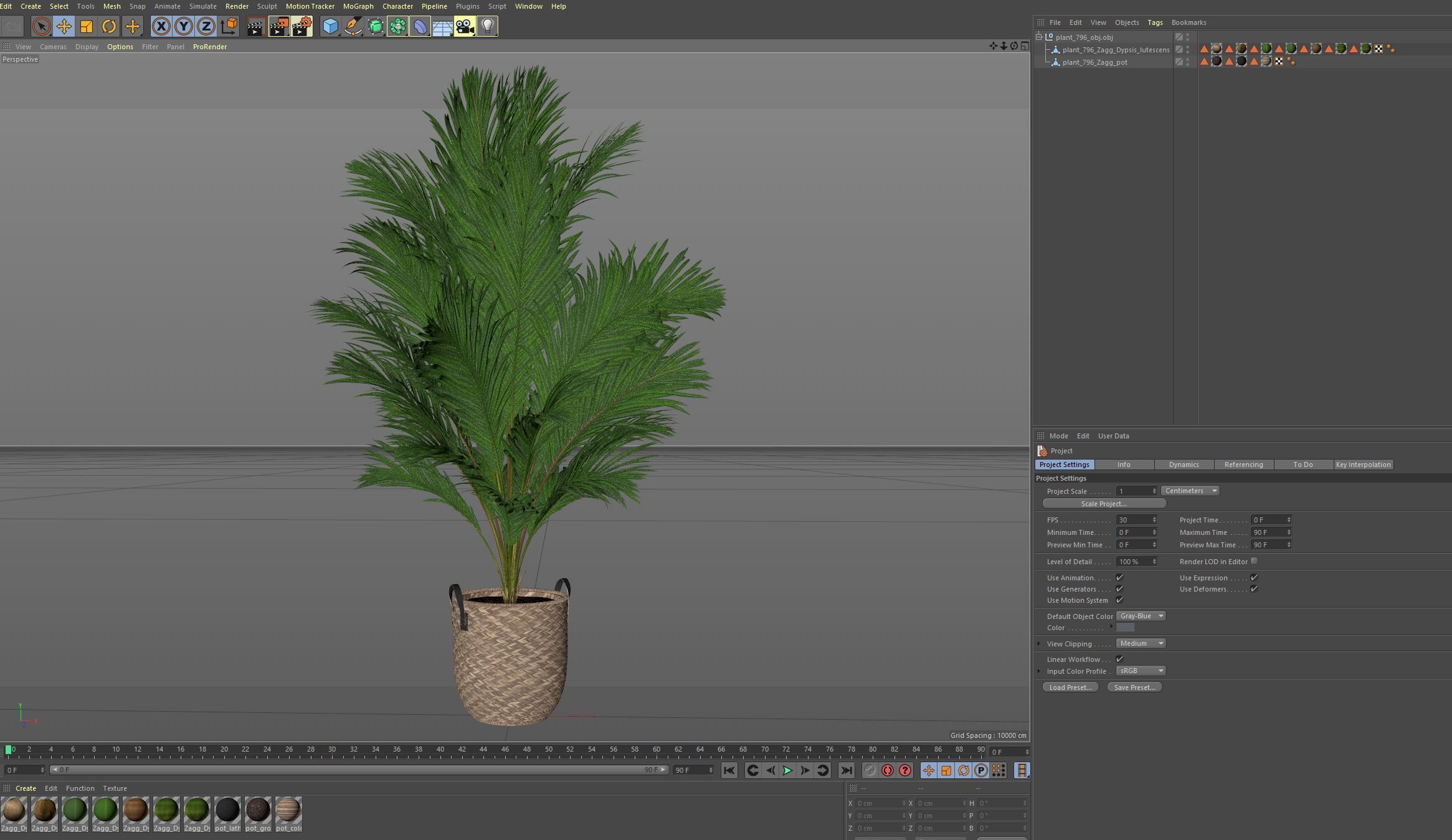 Plants collection 796 3D model | CGTrader