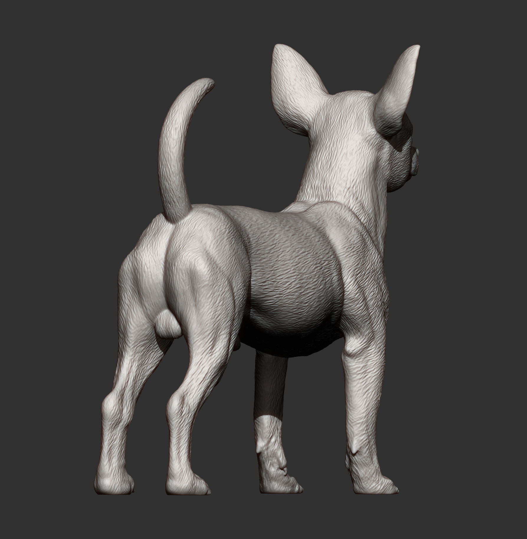 Prague Ratter 3D model 3D printable | CGTrader