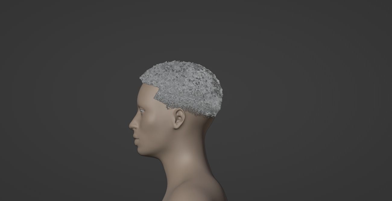 Fade Hair 3D model | CGTrader