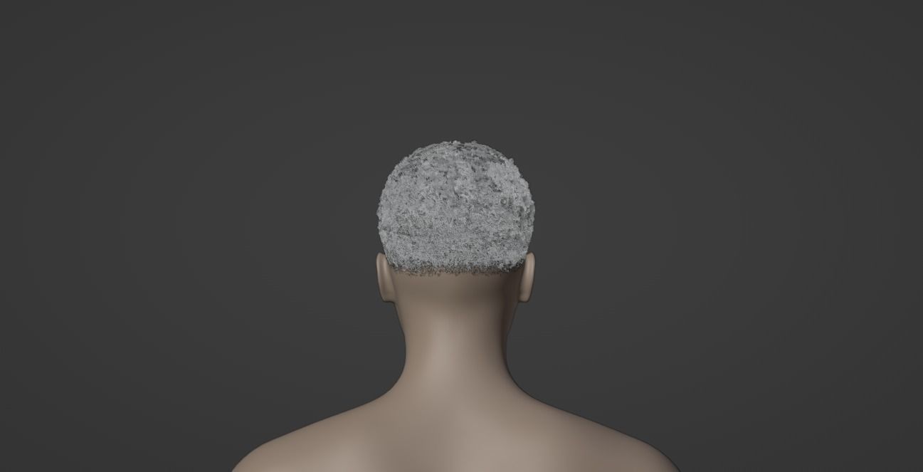 Fade Hair 3D model | CGTrader