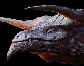 Old dragon 3D Models | CGTrader