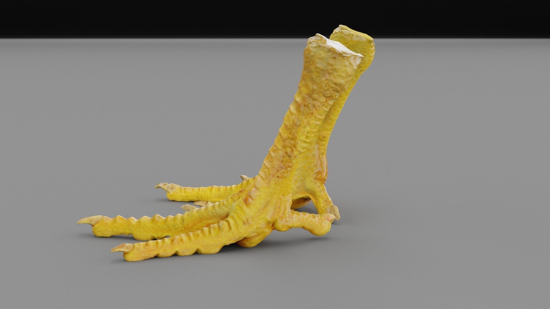 Pair chicken feet high-poly 3D model | CGTrader