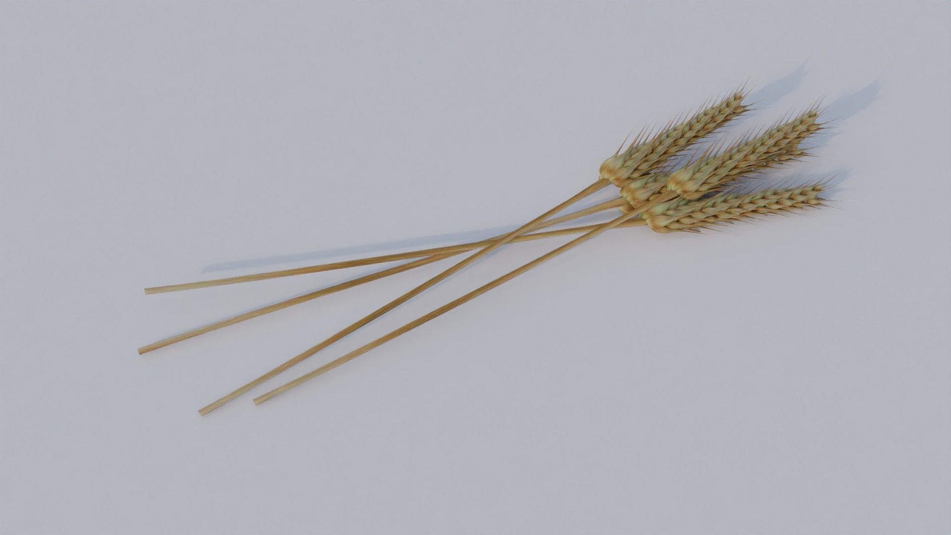 Ears of wheat - Blender Geometry Node 3D model | CGTrader