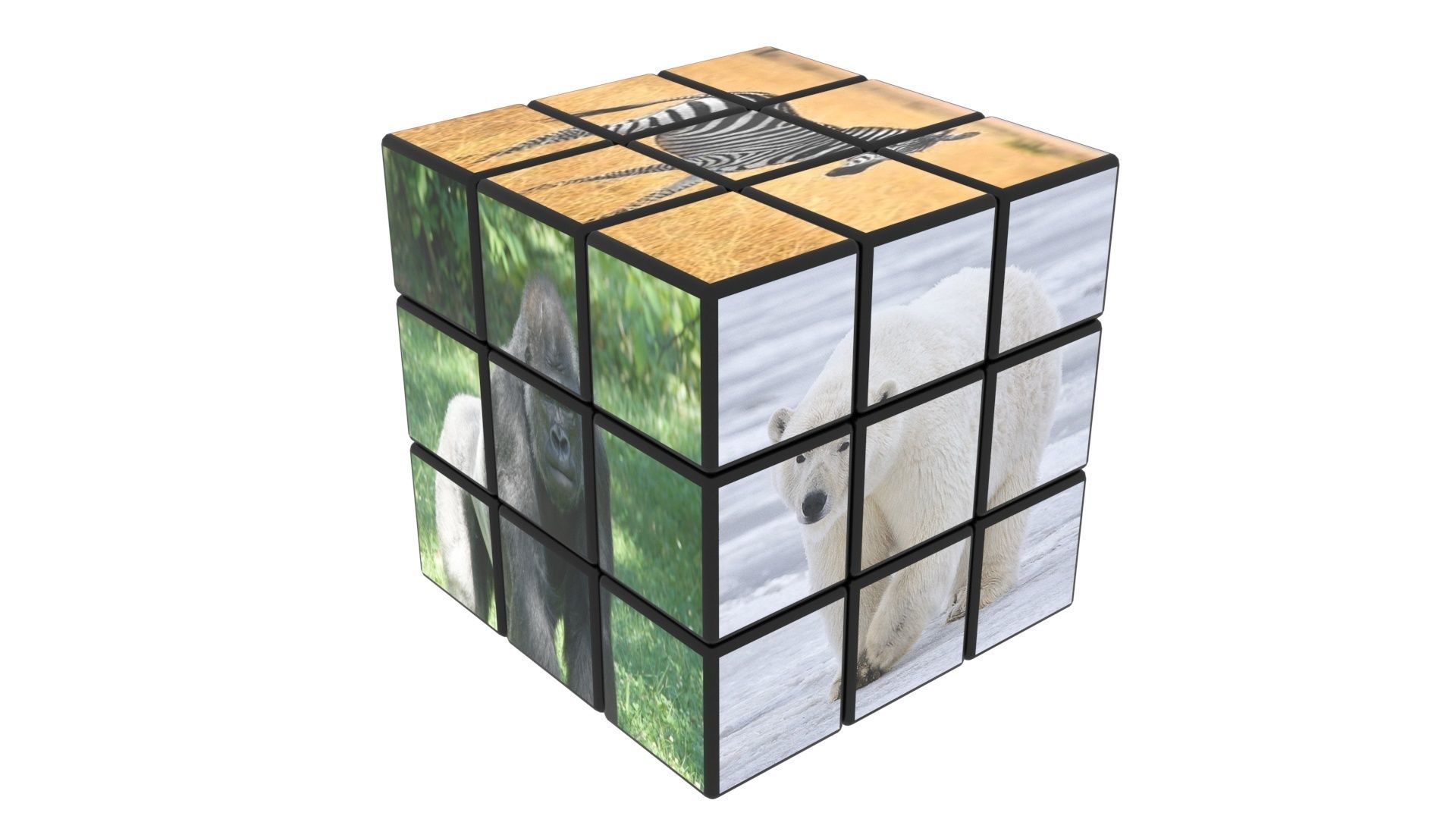 Rubiks Cubes Set With Pictures 3D model | CGTrader