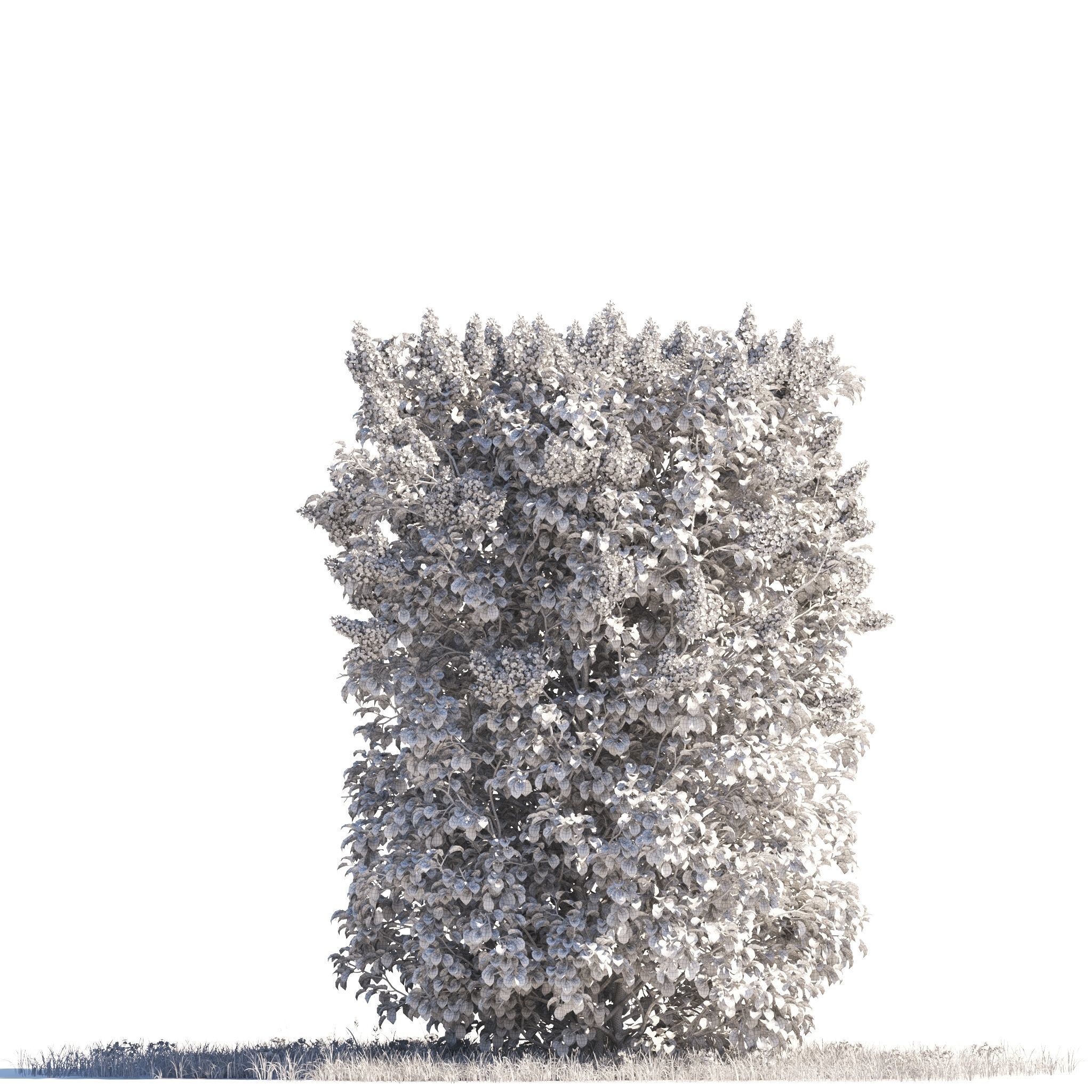 Archmodels vol 264 - collection of 40 blooming trees 3D model | CGTrader