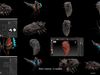 Alien Insects 3D Model Collection | CGTrader