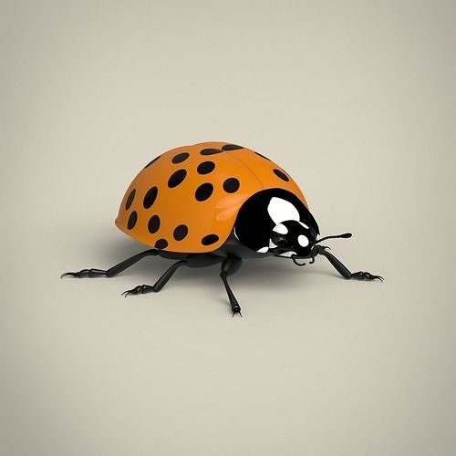 3D model Ladybug VR / AR / low-poly | CGTrader