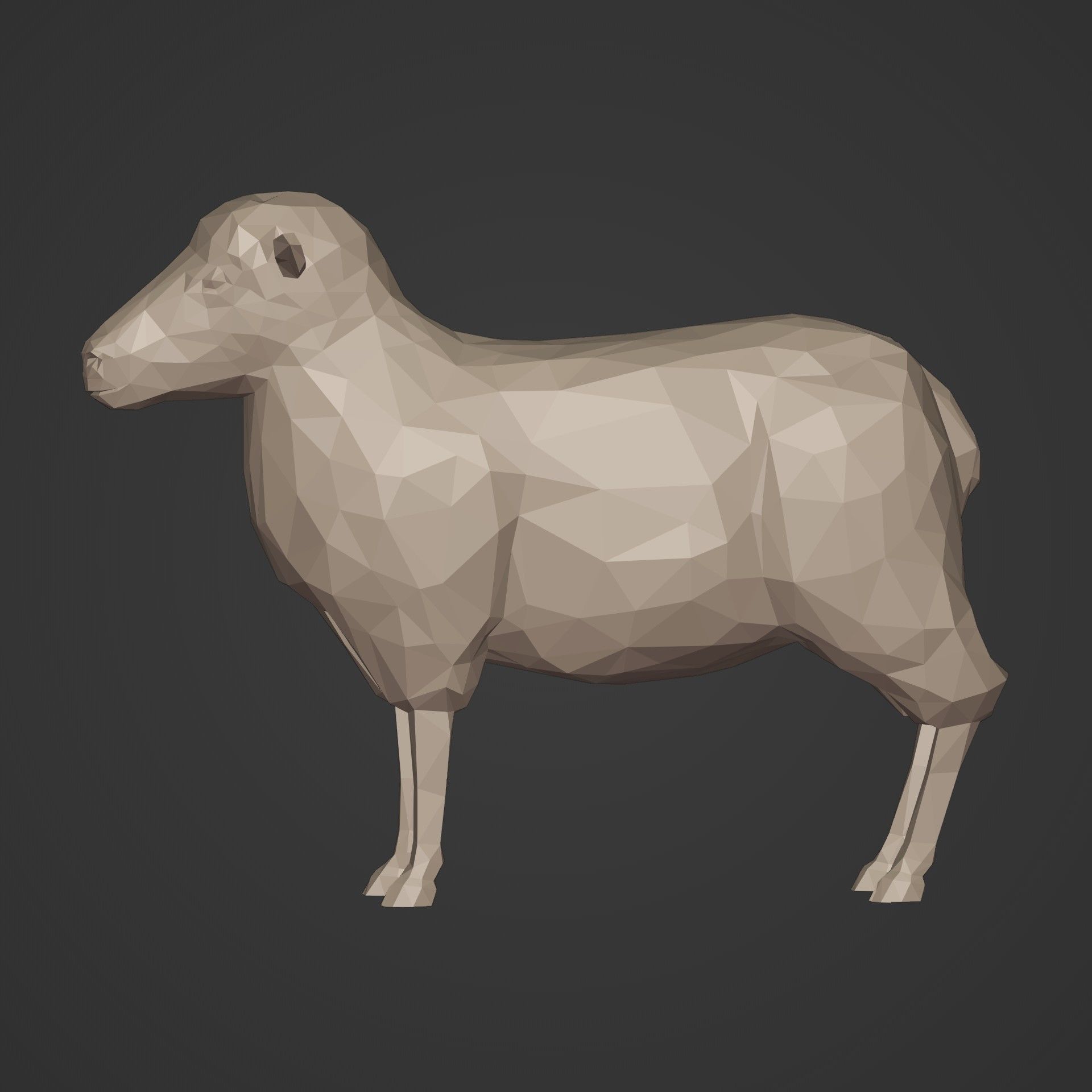 3D model LowPoly Sheep VR / AR / low-poly | CGTrader