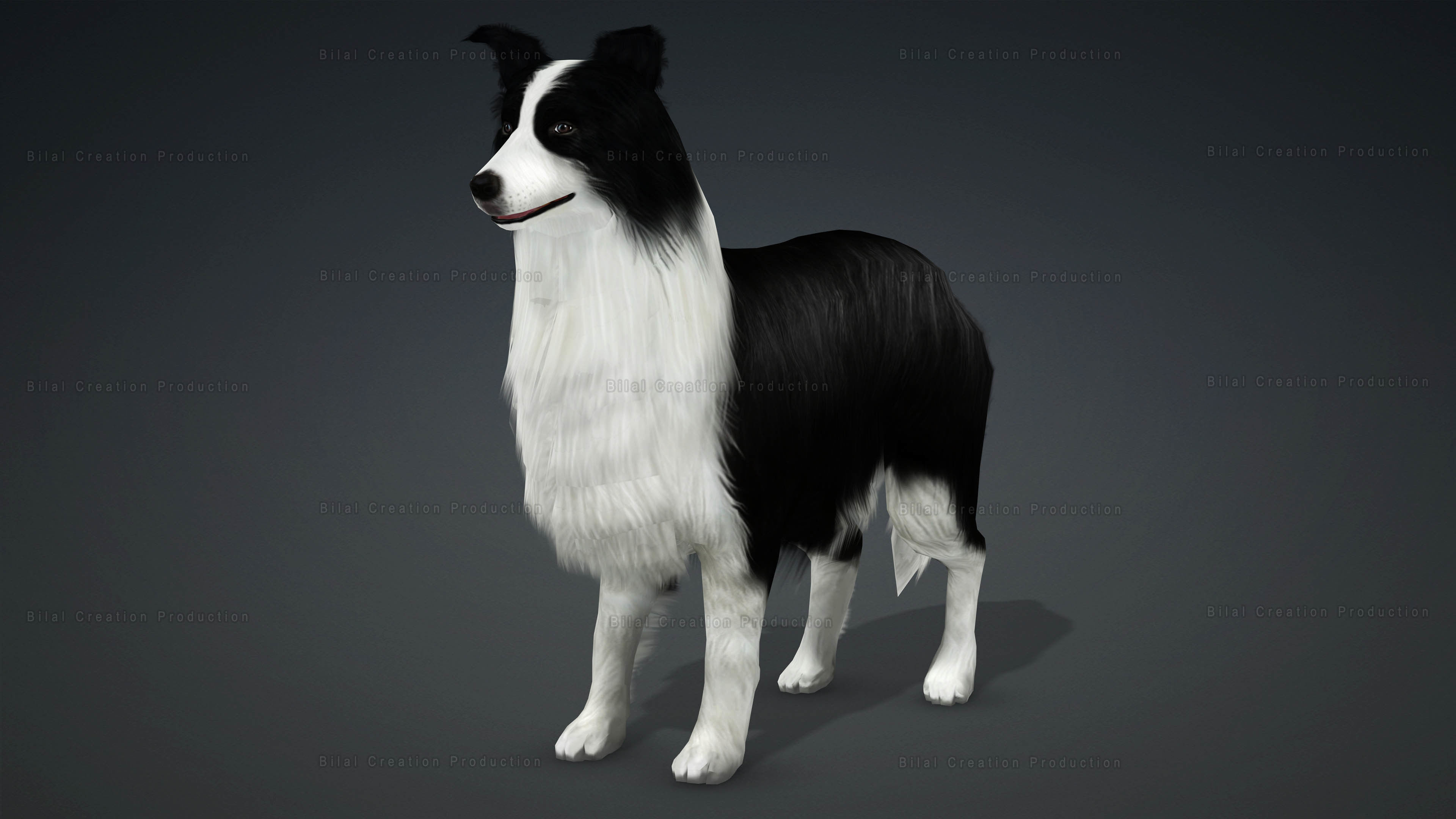 3D model Sheep Dog Animated VR / AR / low-poly | CGTrader