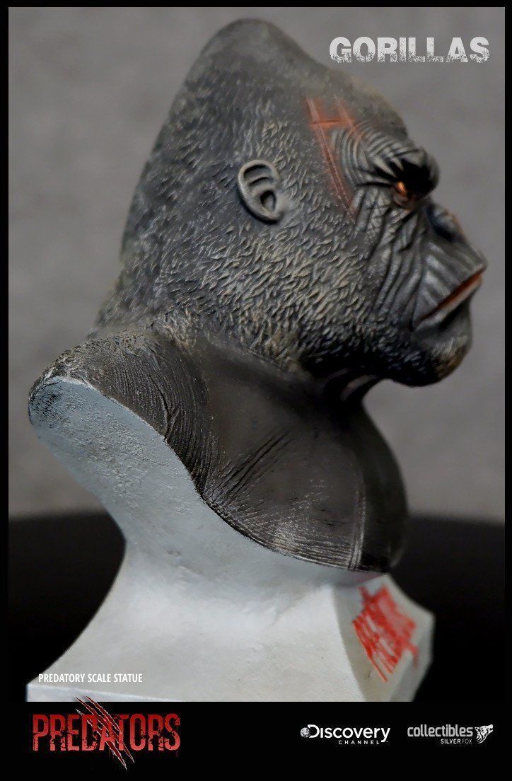 Silverback Gorilla 3D Model 3D model 3D printable | CGTrader
