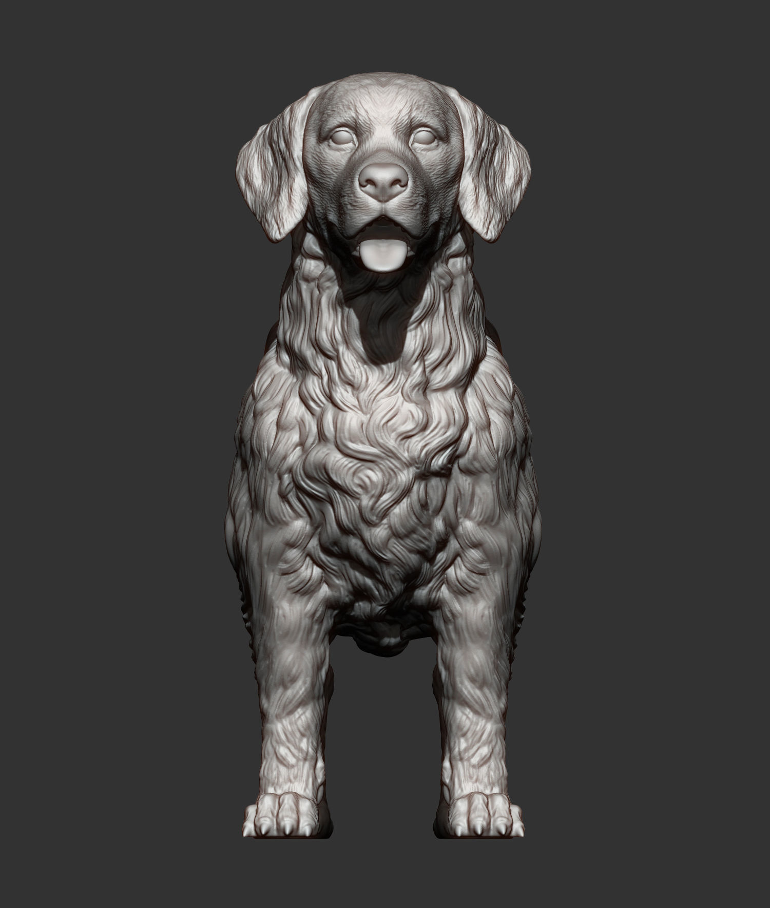 Golden retriever 3D model 3D printable | CGTrader