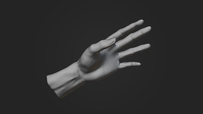 Male Left Hand 3D model | CGTrader