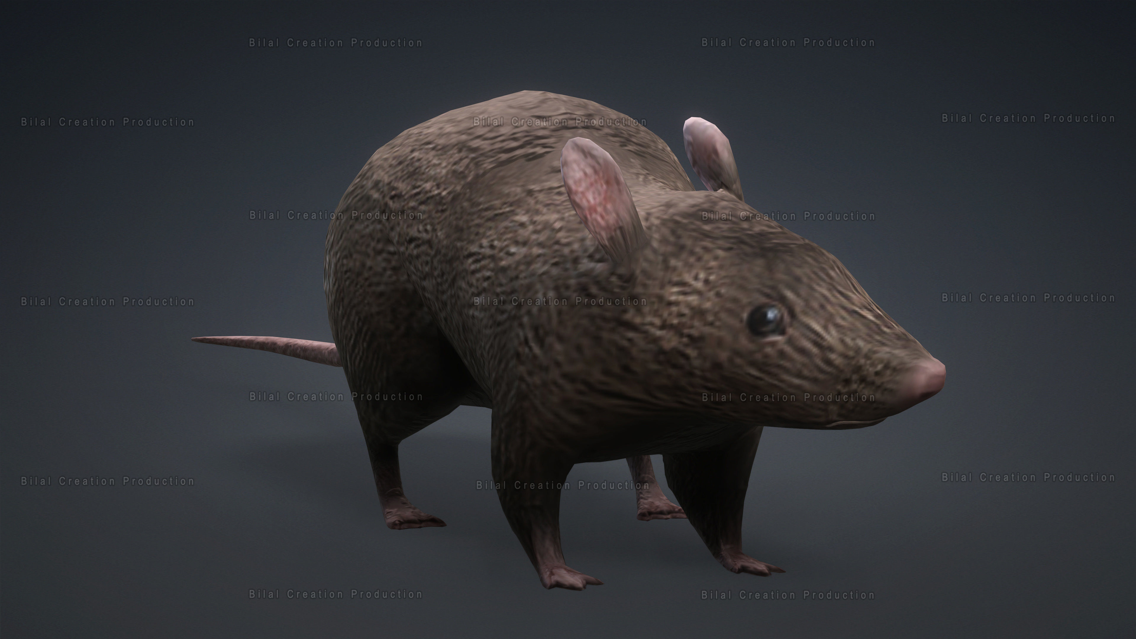3D model MOUSE GRAY RAT ANIMATED VR / AR / low-poly | CGTrader