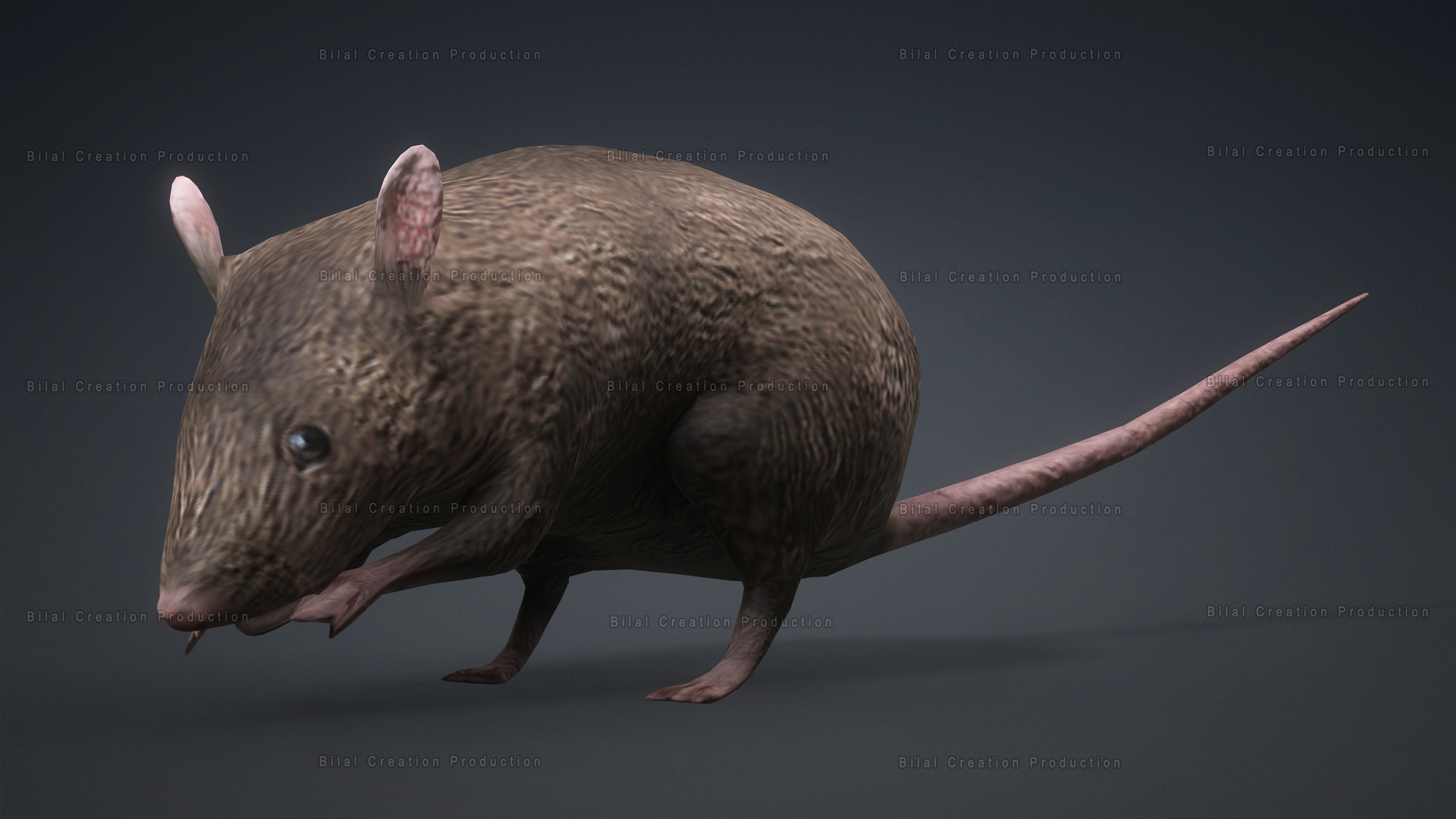 3D model MOUSE GRAY RAT ANIMATED VR / AR / low-poly | CGTrader