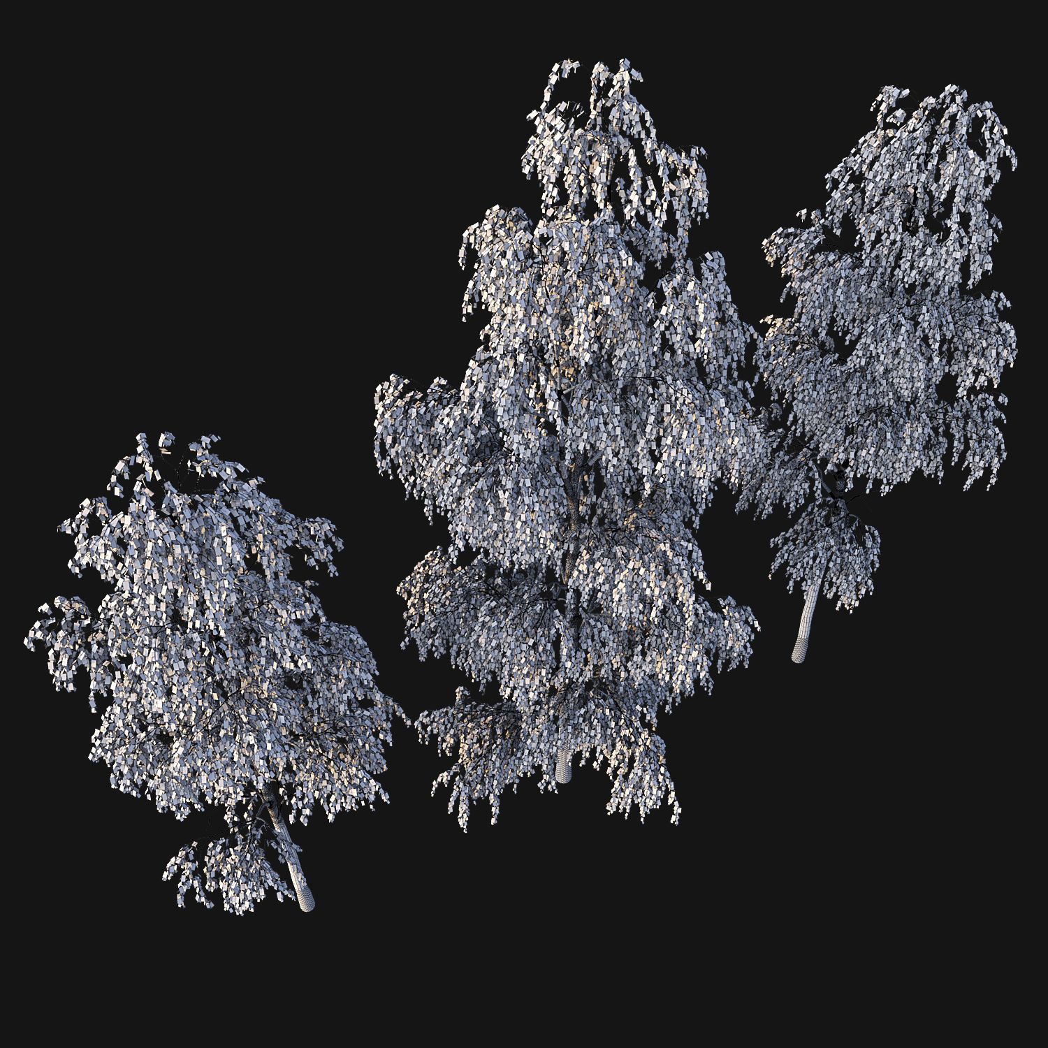 Birch Tree Set 3D model | CGTrader