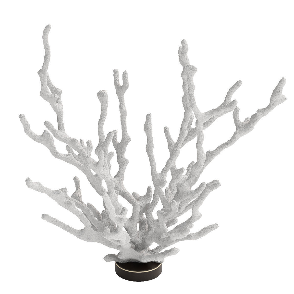 Decor coral 3D model | CGTrader