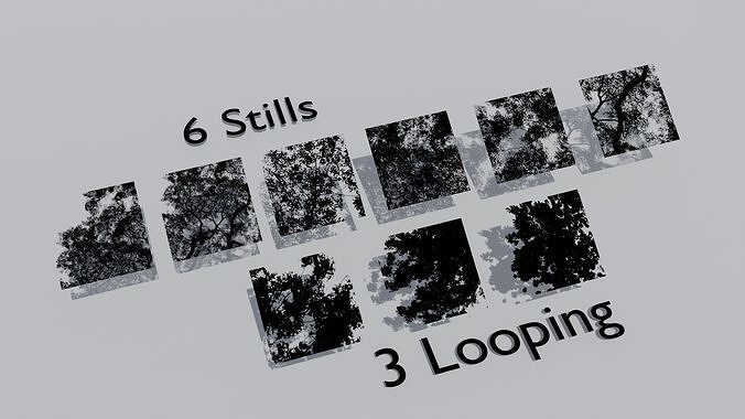 Tree Canopy GOBO Pack Animated and Stills free VR / AR / low-poly ...