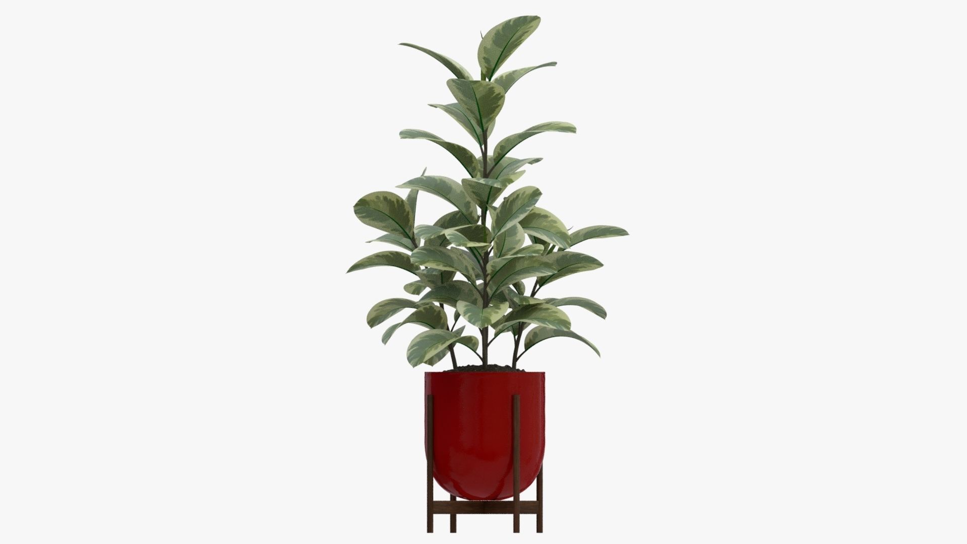 3D model Plants Collection A5 VR / AR / low-poly | CGTrader