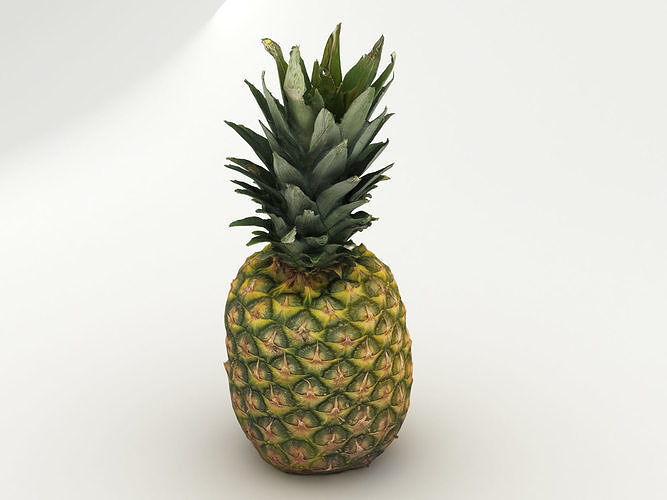 Pineapple 3D model | CGTrader
