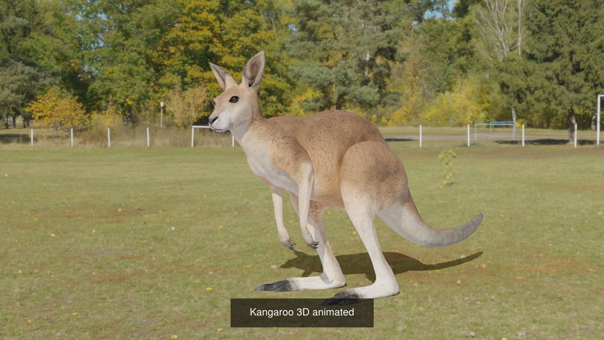 3D Model Collection 11 animal Pack VR / AR / low-poly | CGTrader