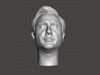 Shen Teng Head 3D Model 3D model 3D printable | CGTrader