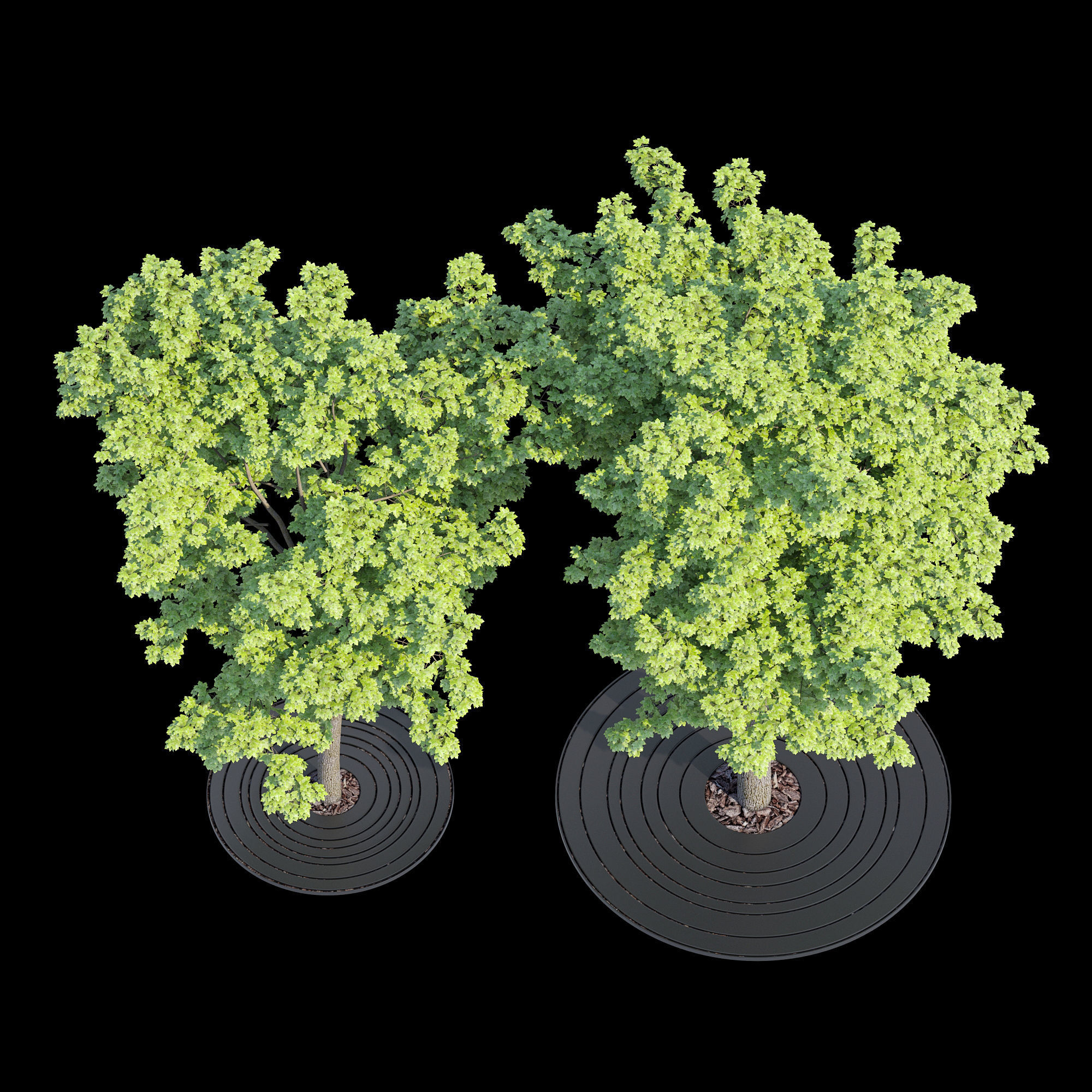 Croso circles grille 3D model | CGTrader