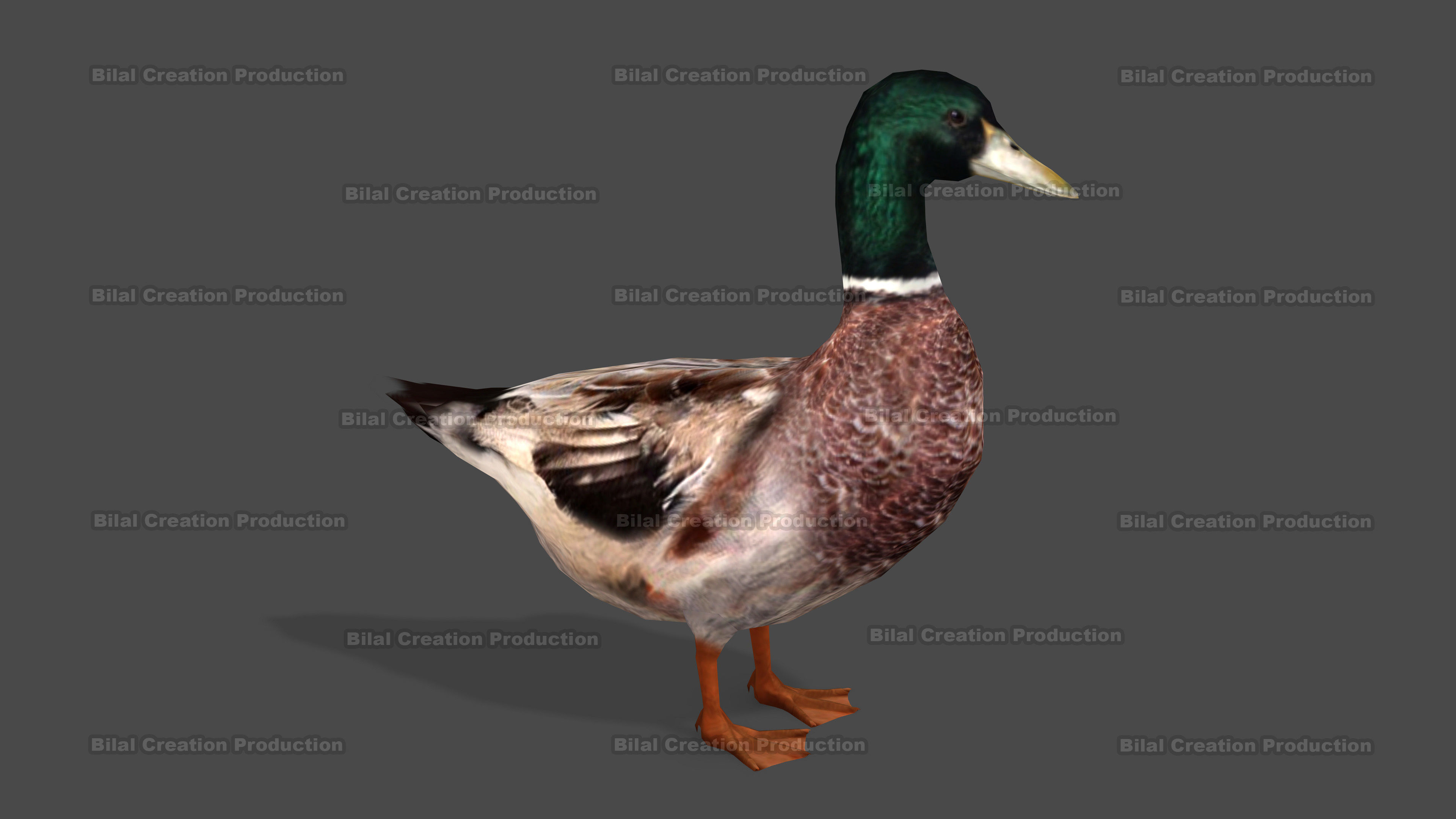 3D model DUCK MALE ANIMATED VR / AR / low-poly | CGTrader