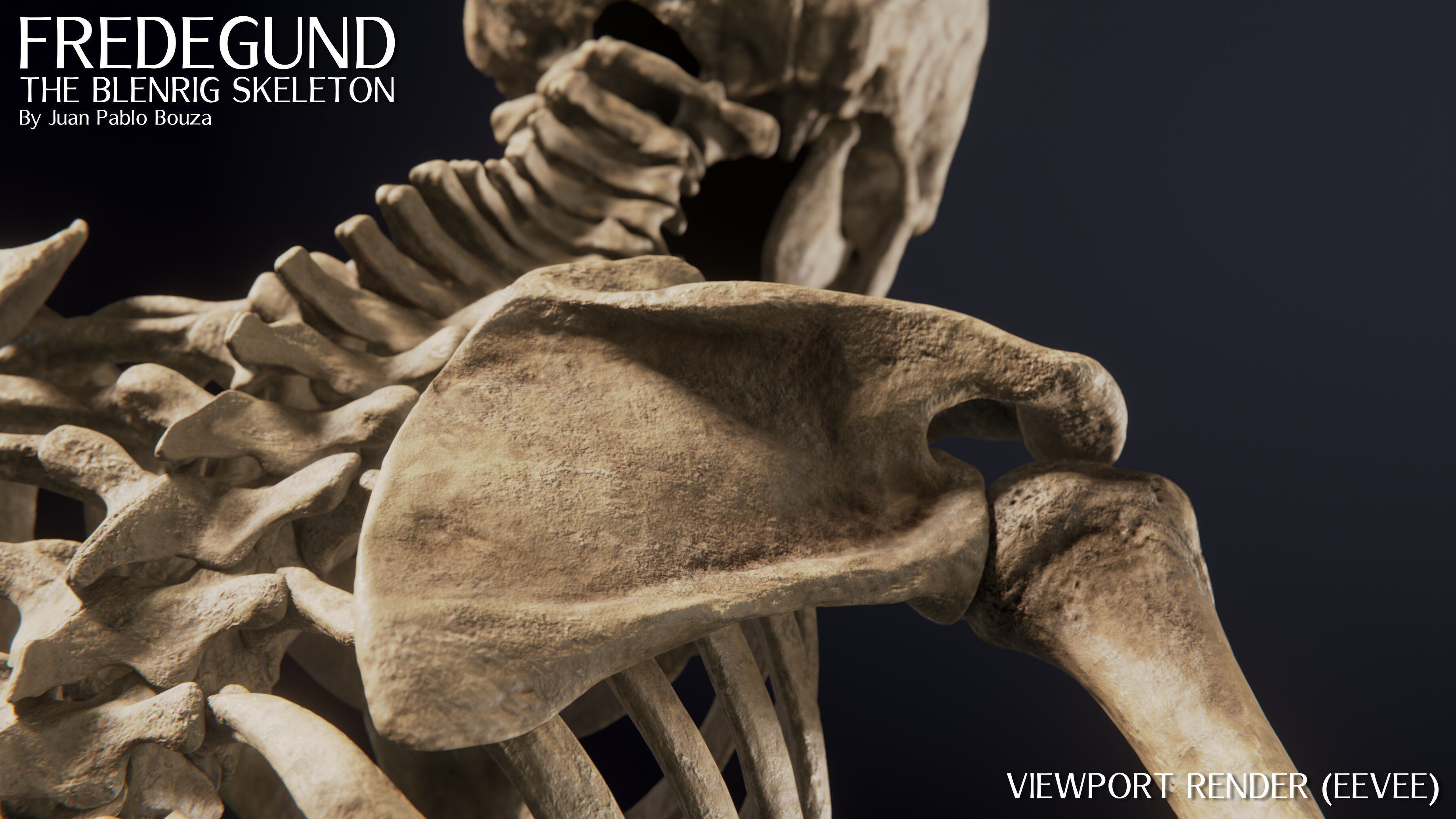 3D model Fredegund - The BlenRig Skeleton VR / AR / low-poly | CGTrader