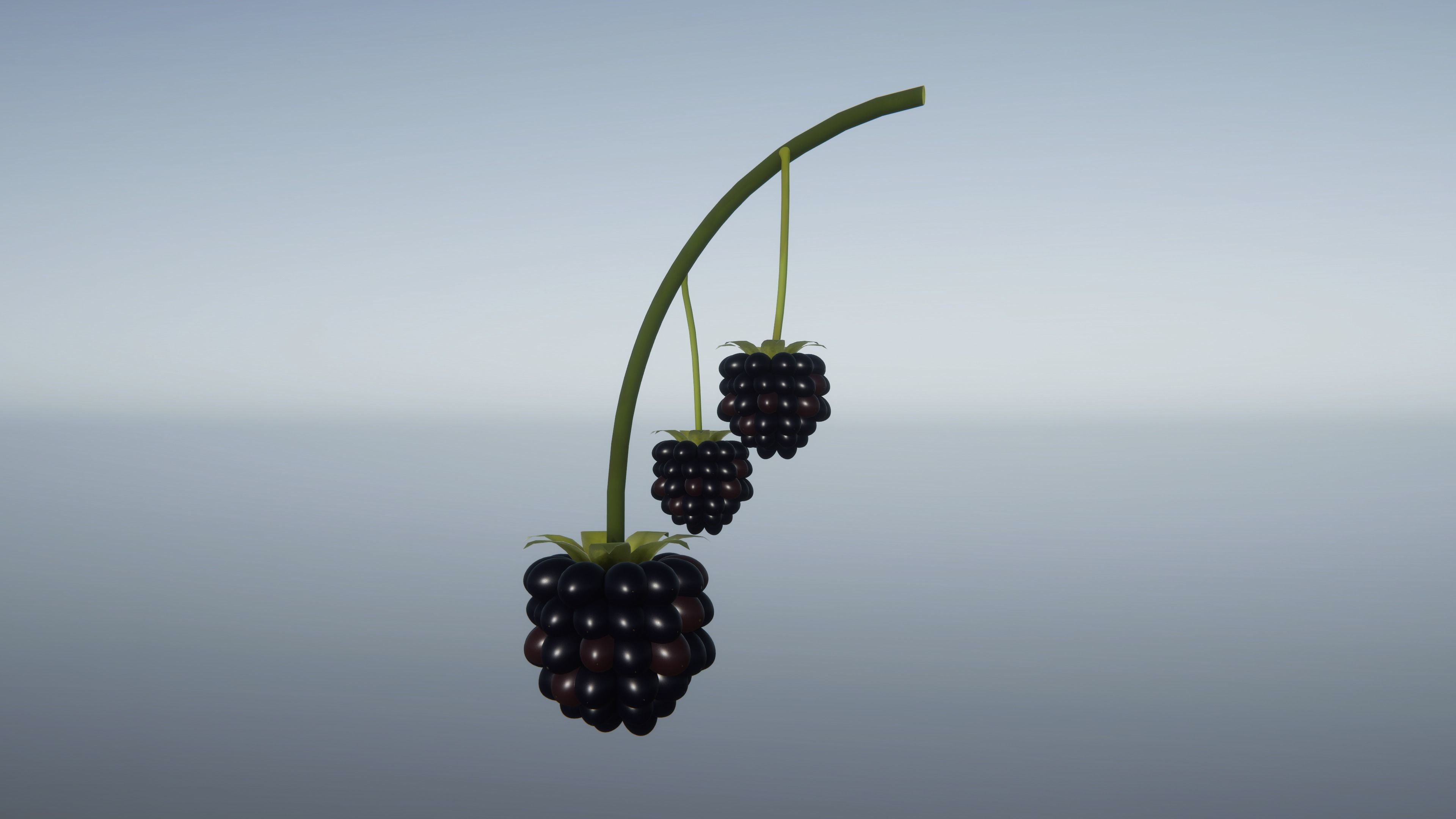 3D model Berries and Cherries VR / AR / low-poly | CGTrader