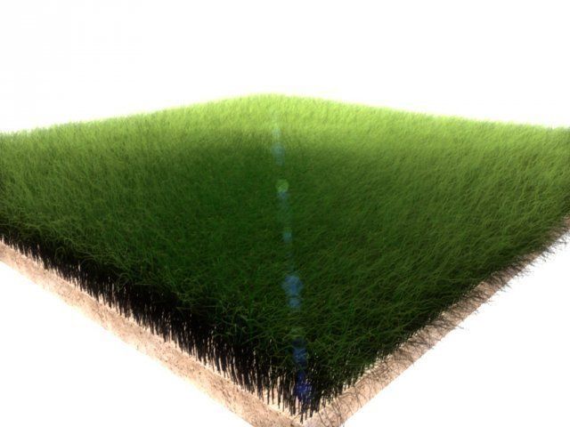Dynamic Grass 2 3D model animated | CGTrader