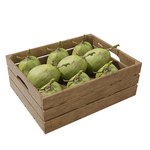 Coconut crates 3D model | CGTrader