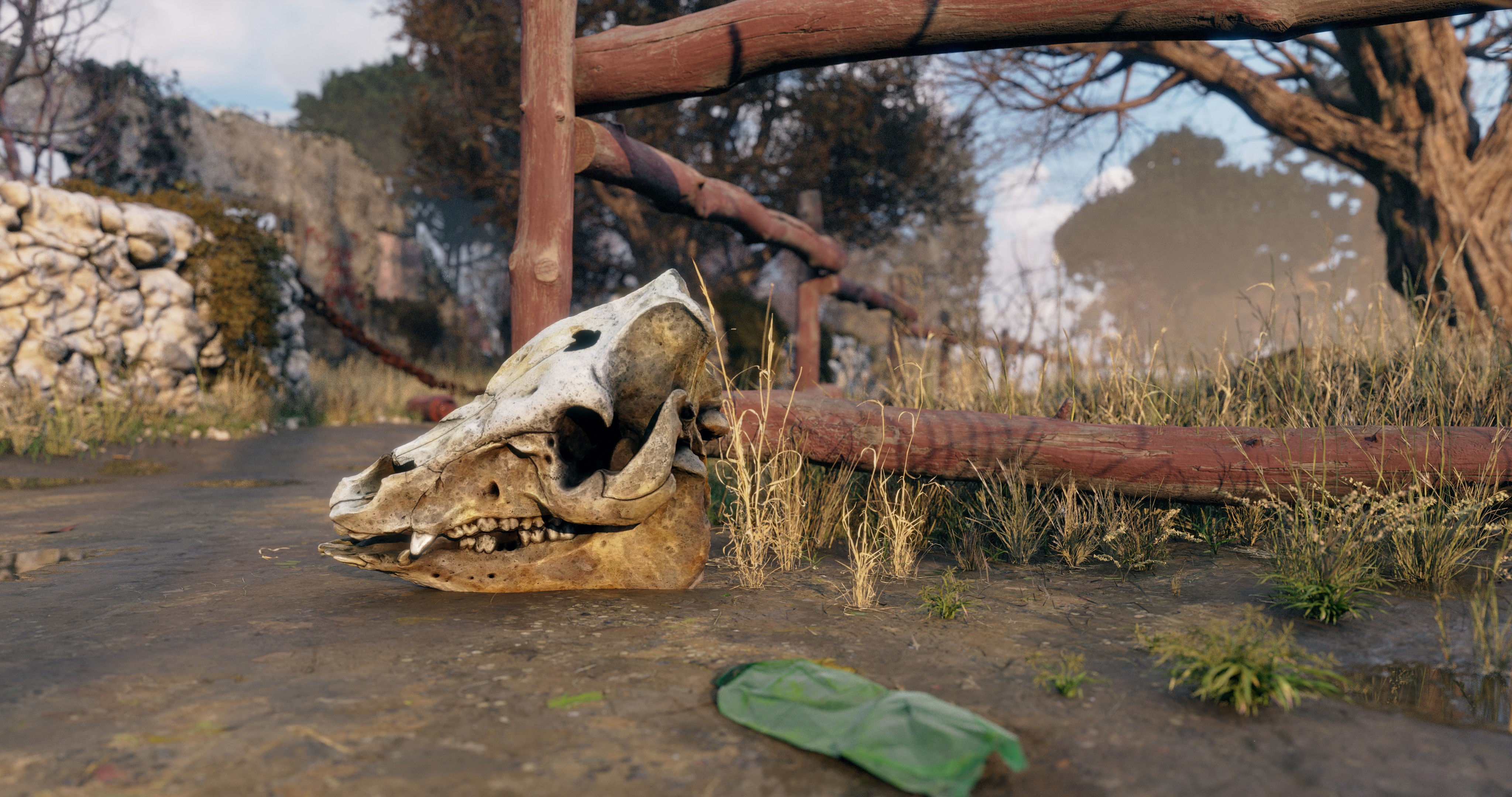 Animal skull - pig cranium - Photoscan 3D model | CGTrader