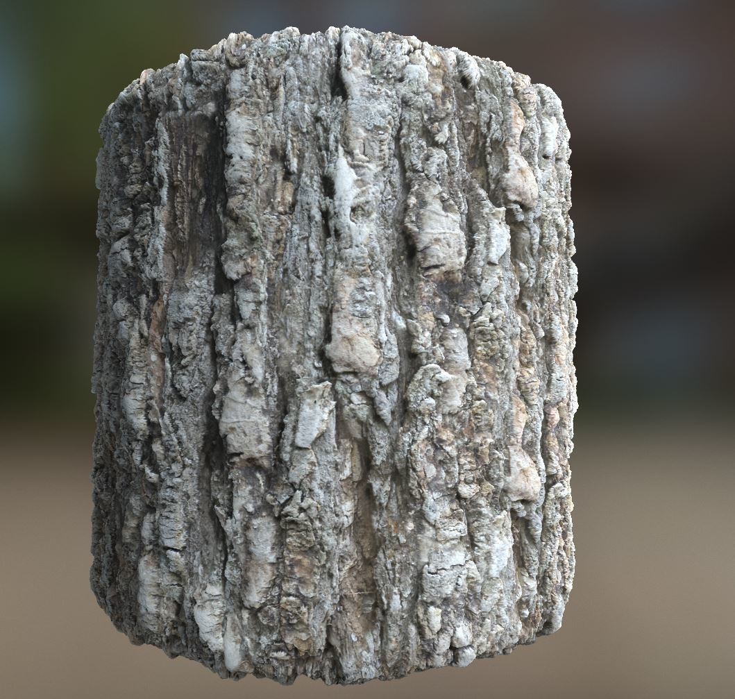 10 Tree Bark Material sbsar file and 4k PBR Textures Texture | CGTrader