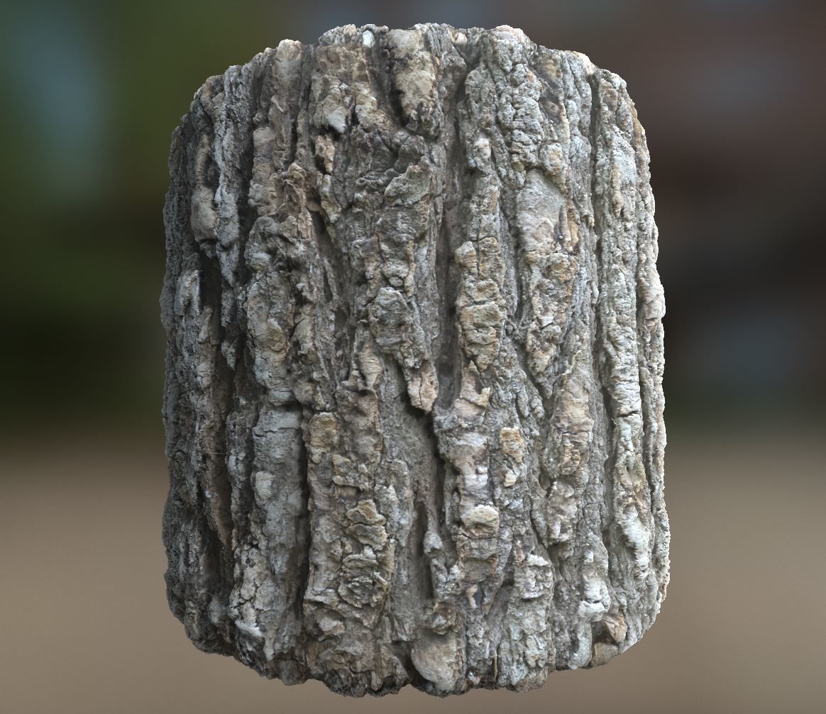 10 Tree Bark Material sbsar file and 4k PBR Textures Texture | CGTrader